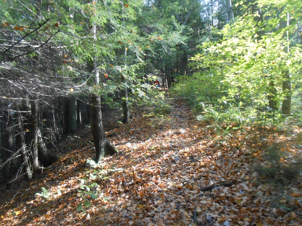 Gerard Hiking Trail